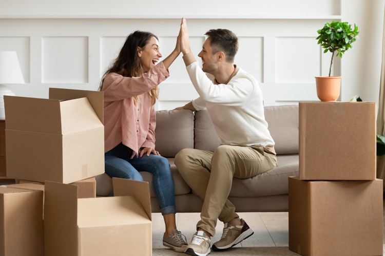 Hello Neighbour Landlords